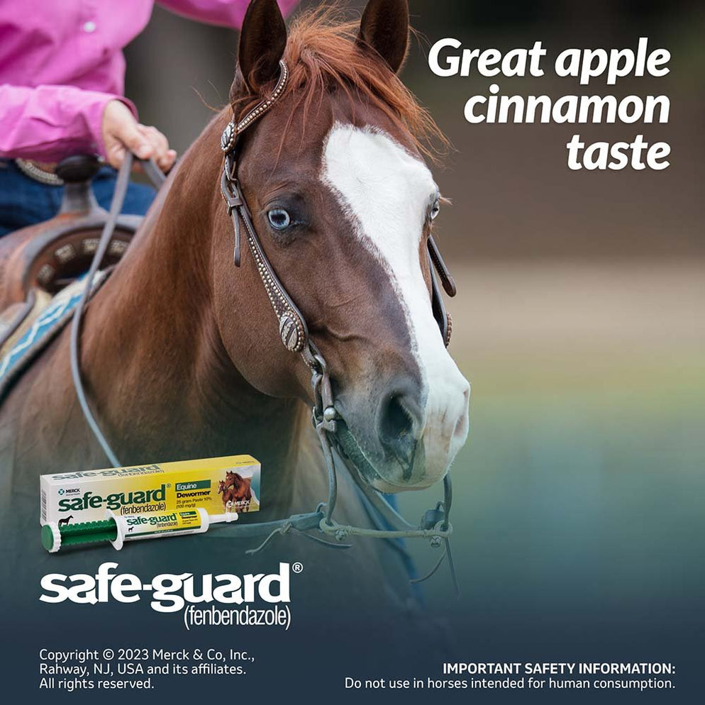 Safe Guard Dewormer Horse Paste (10% Fenbendazole) — Lambert Vet Supplies
