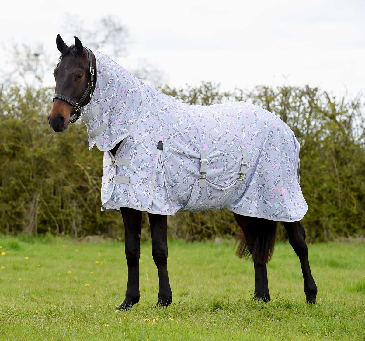 Saxon Combo Neck Fly Sheet with Belly Wrap, Sea Unicorn — Lambert Vet ...