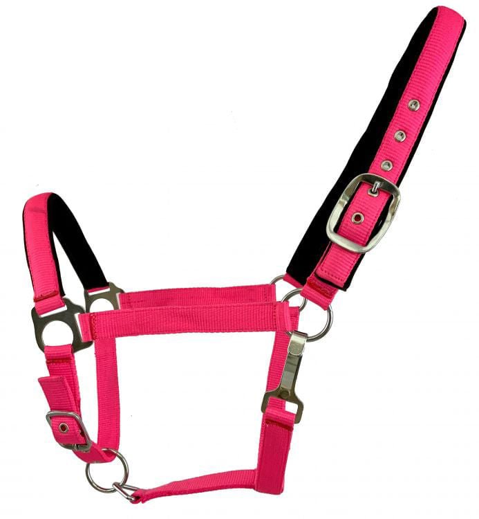 Showman Fluorescent Halters for Horses, Full — Lambert Vet Supplies