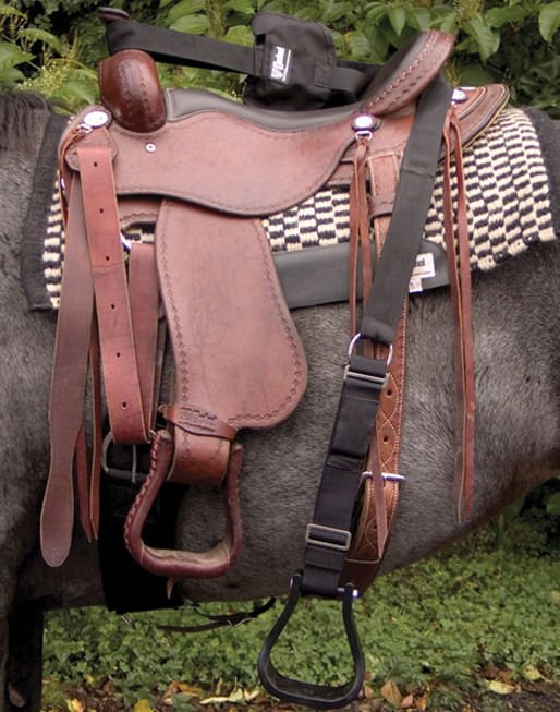 Step-Up Stirrup with Adjustable Strap and Stainless Steel Hardware ...