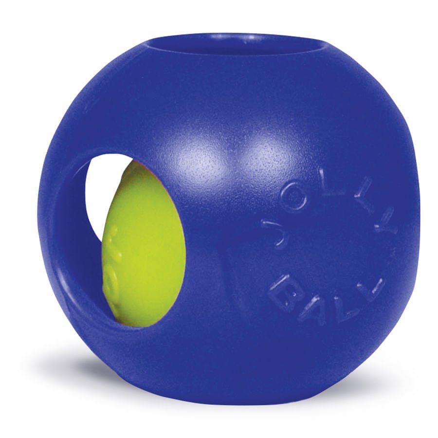 Teaser Ball by Jolly Pets — Lambert Vet Supplies