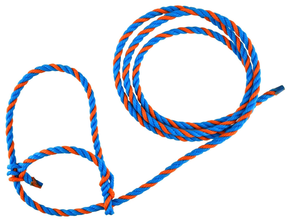 Poly Rope Cow Halters with Lead, 7' — LVS