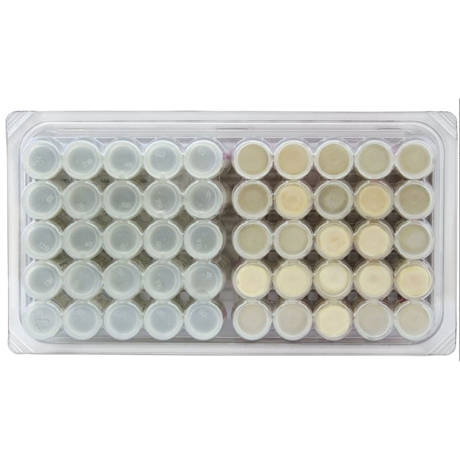 TruCan B Oral Bordatella Vaccine for Dogs, 25 dose vs Bbronc — Lambert ...