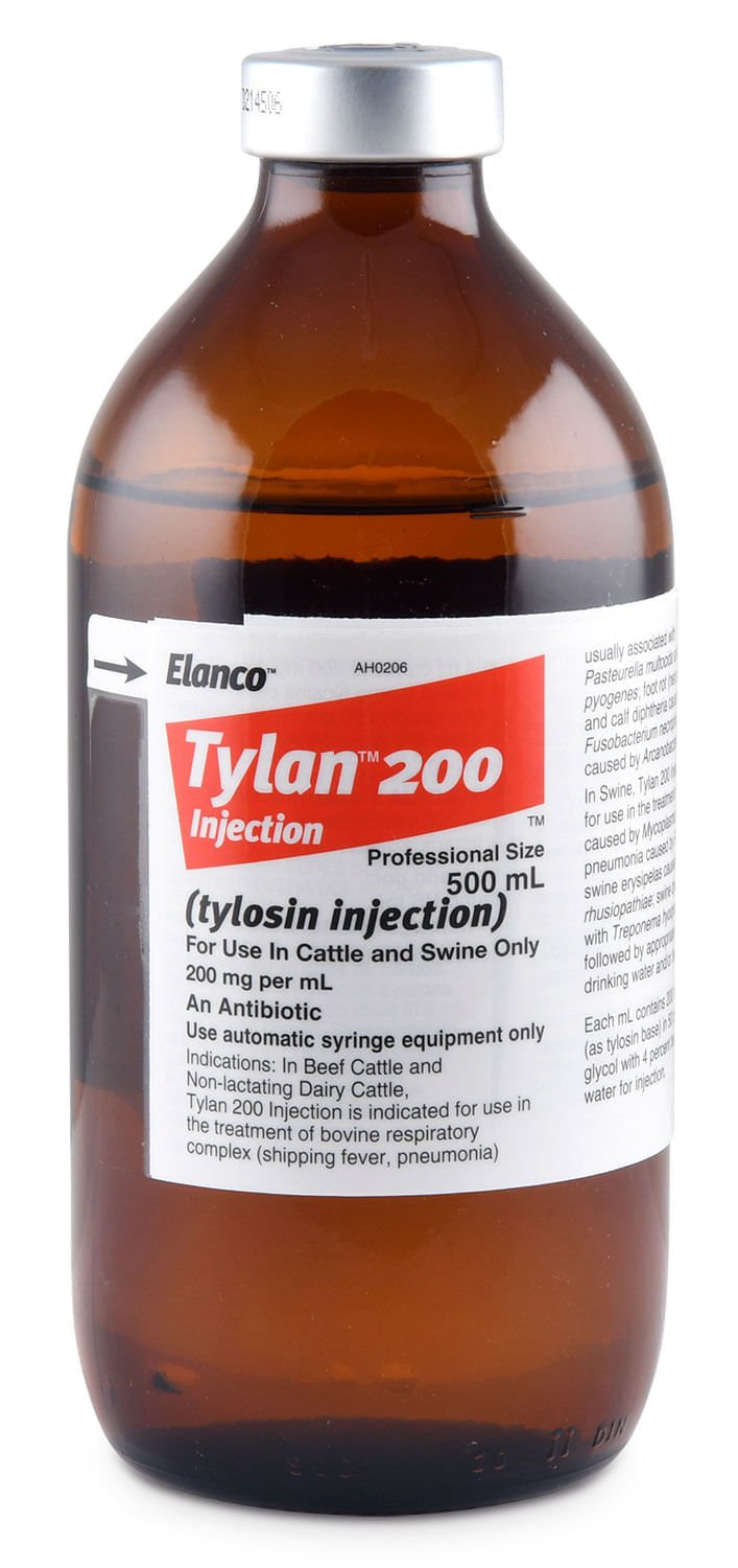 Tylan 200 Antibiotic Injection, Cattle and Swine — LVS