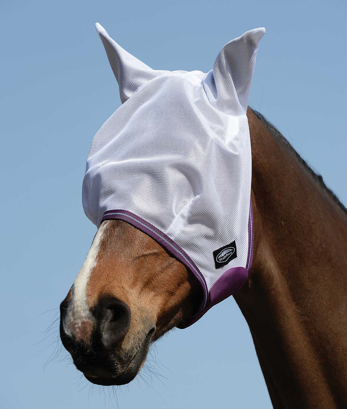 WeatherBeeta ComFITec Airflow Horse Fly Mask, White/ Violet/ Blue ...