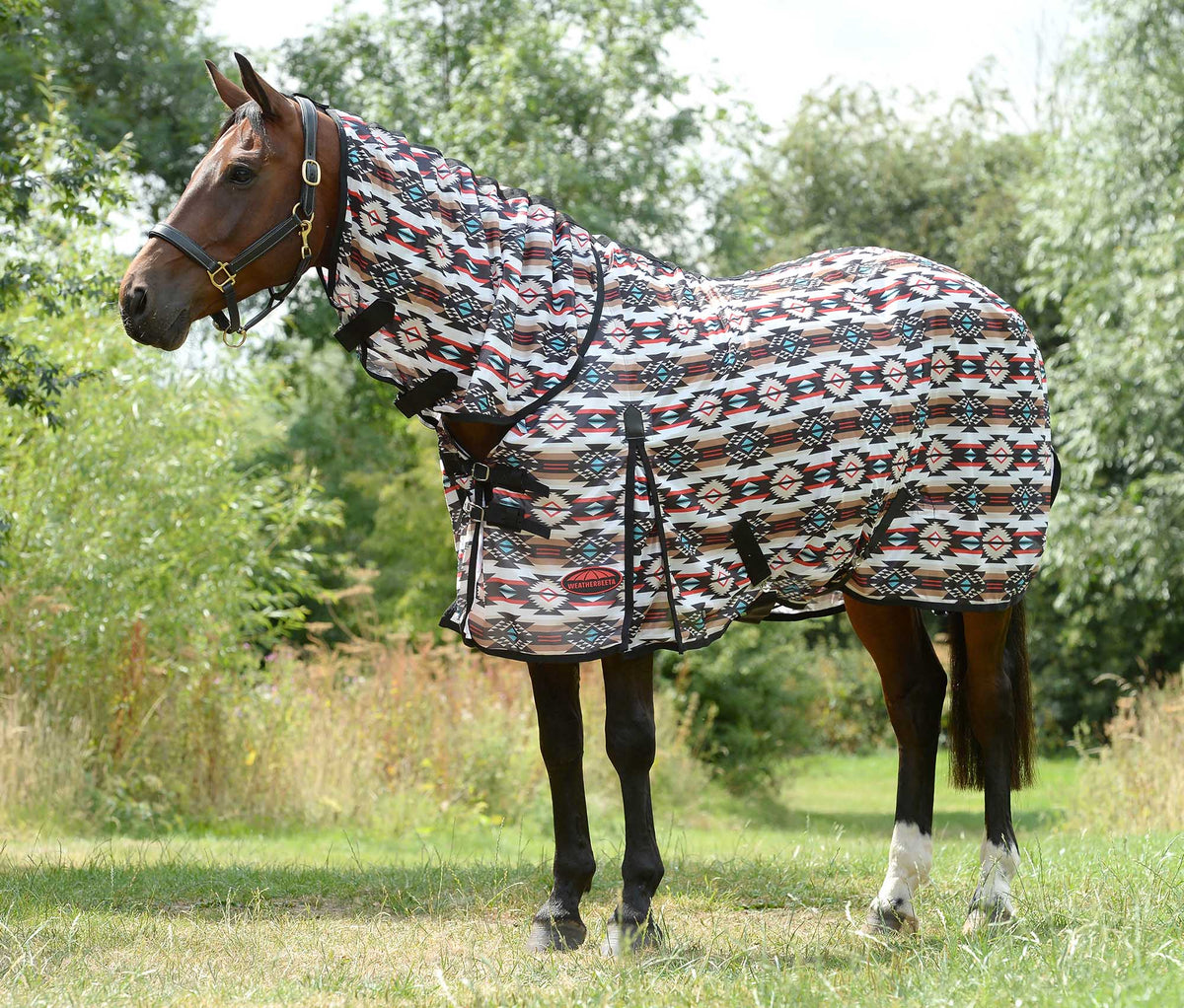 WeatherBeeta ComFITec Essential Mesh II Combo Neck Fly Sheet for Horses ...