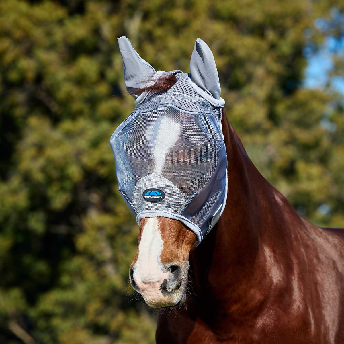 WeatherBeeta ComFITec Fine Mesh Fly Mask w/Ears & Nose, Grey - Multiple ...