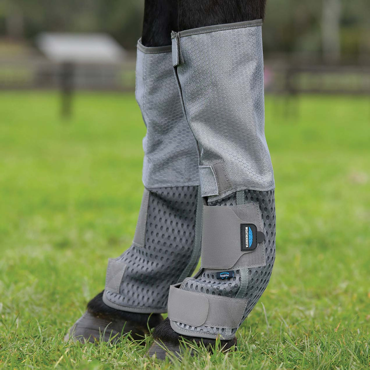 WeatherBeeta ComFITec Hexi Shield Fly Wraps for Horses — Lambert Vet ...