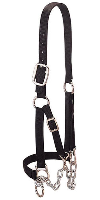 Weaver Heavy Duty Restraint Halter for Cattle, Black — Lambert Vet Supplies